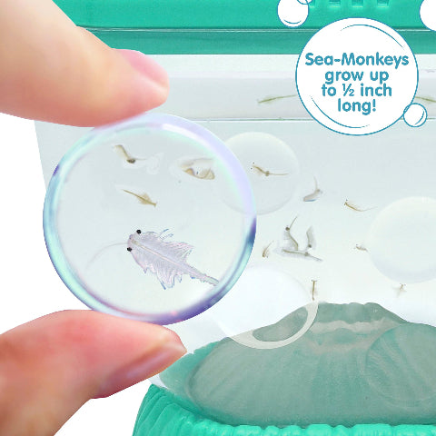 Sea Monkeys Ocean Volcano - Treasure Island Toys